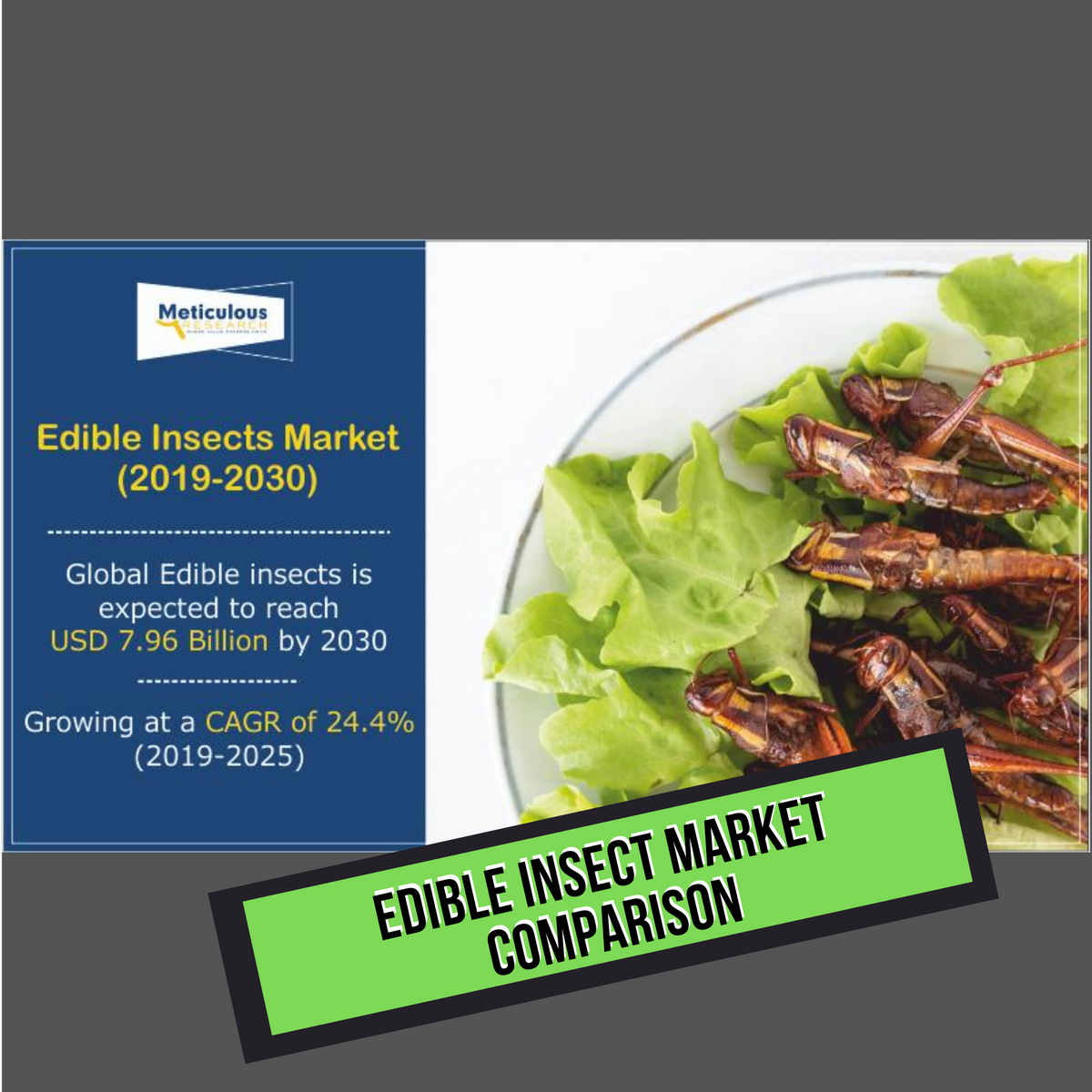Edible Insects Market and Future Prospects – ecoflys.com