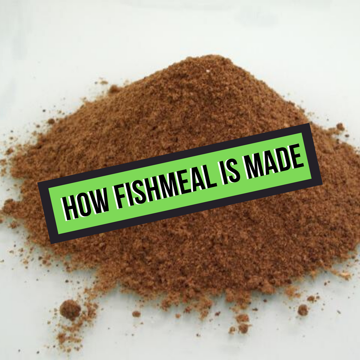 How Fish Meal is Made – ecoflys.com